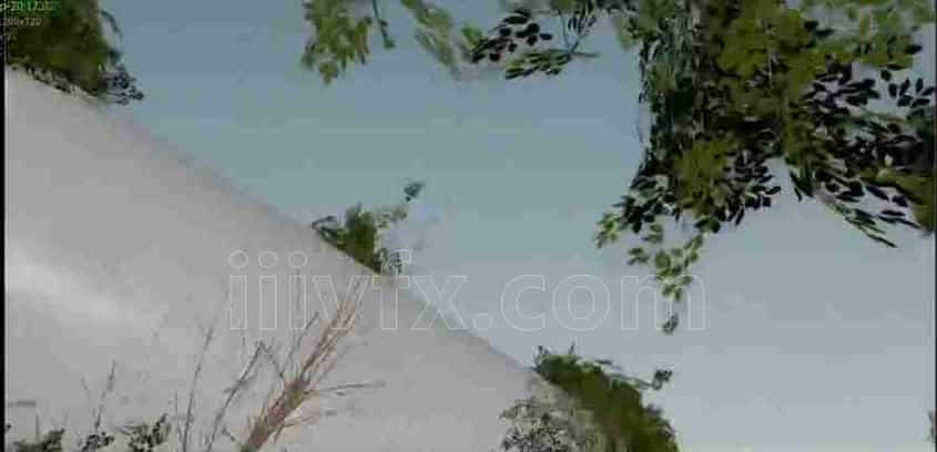 tree树木sim解算hip工程 - B站/公众号:特效向